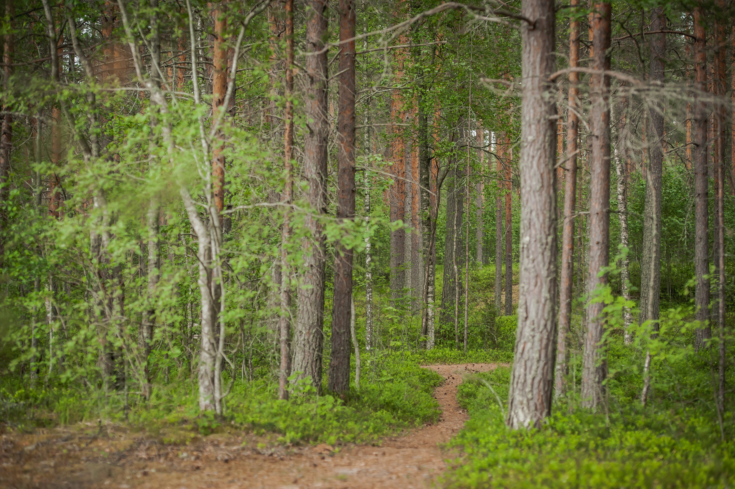 Piispala has started the journey towards Sustainable Travel Finland ...