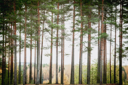 Yhdenvertaista palvelua Piispalassa - Piispala