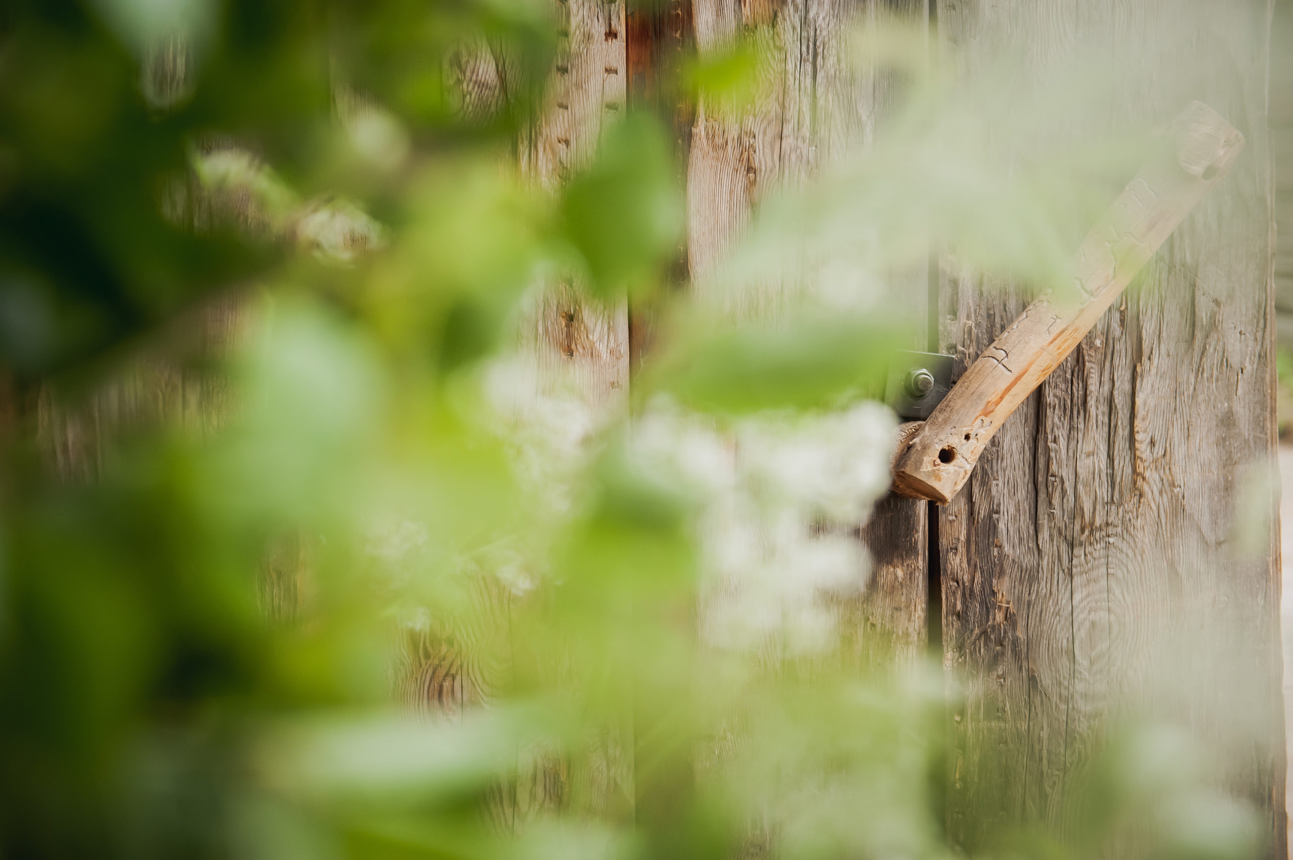 Piispala becomes Finland's 100th sustainable travel company - Piispala