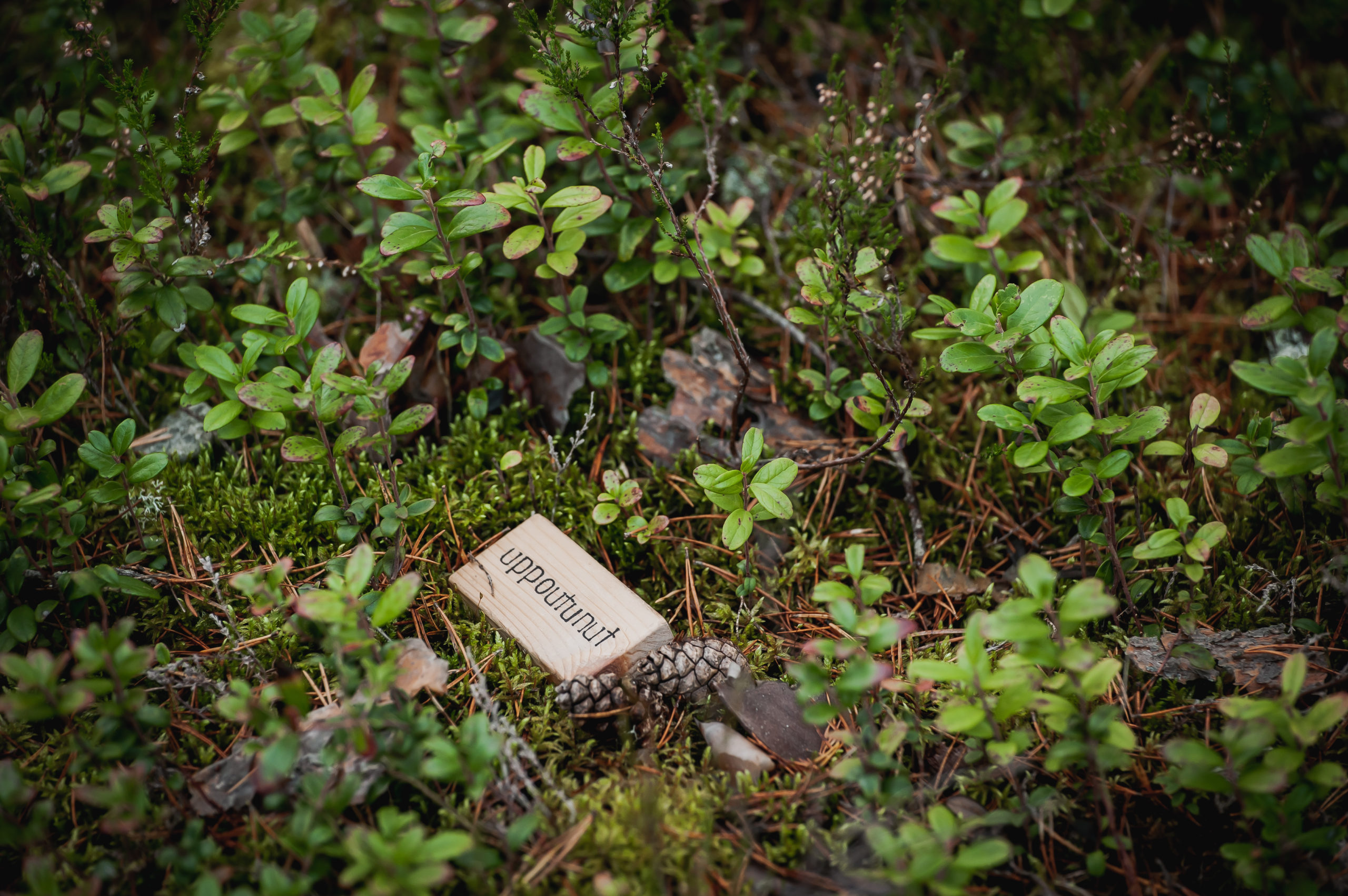 Ympäristövastuullisuus Piispalassa - Piispala