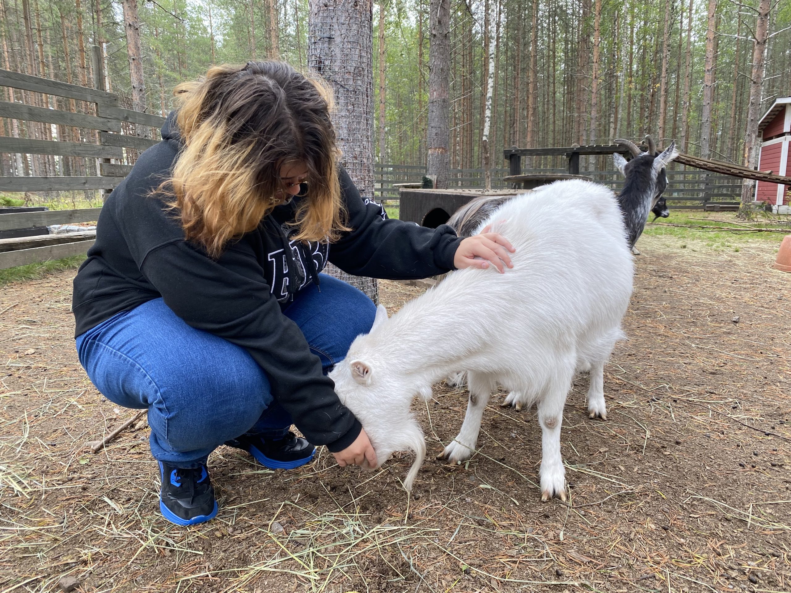 Volunteering in Piispala - Piispala
