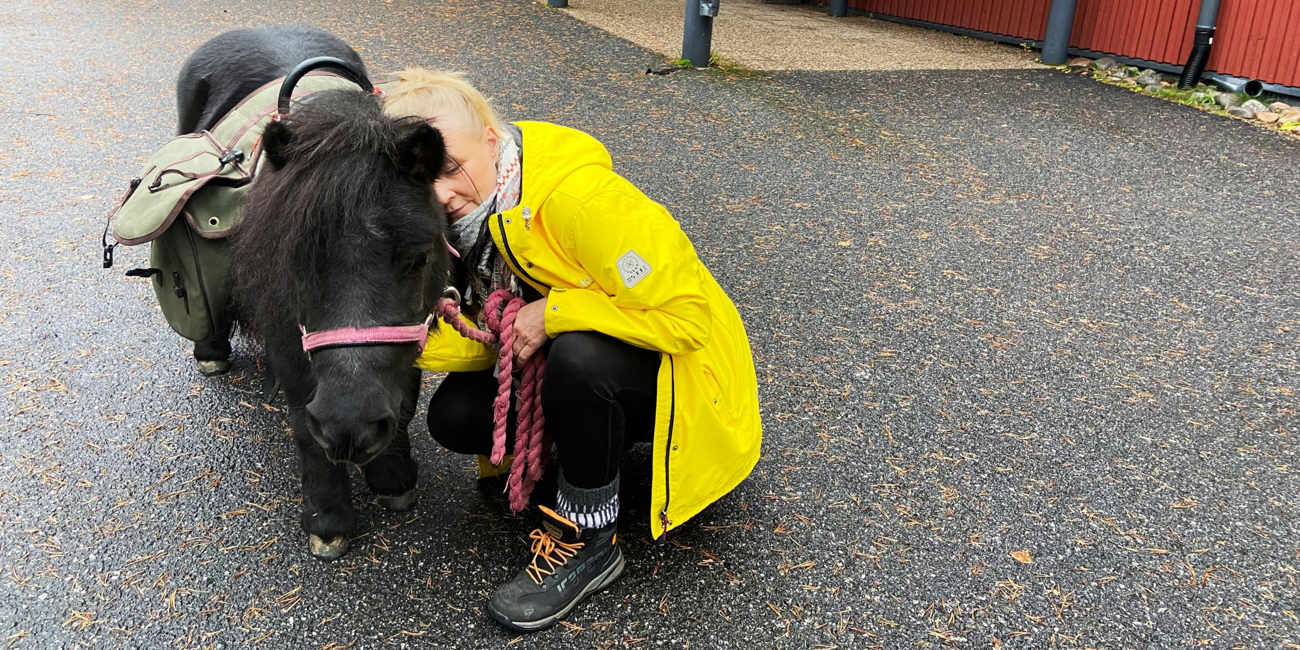 Oppimassa työstä Piispalassa - Piispala